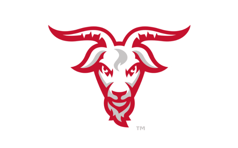 Worcester Polytechnic Institute Engineers Color Codes: Hex, RGB, and Logo