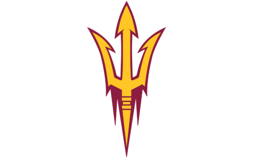 Arkansas Razorbacks Color Codes: Hex, RGB, and Logo