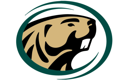 Penn State Nittany Lions Color Codes: Hex, RGB, and Logo