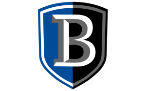 Bentley Falcons Color Codes: Hex, RGB, and Logo