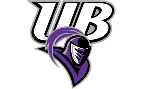 Michigan Wolverines Color Codes: Hex, RGB, and Logo