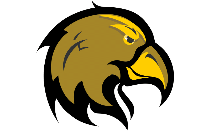 Cal State Los Angeles Golden Eagles Color Codes: Hex, RGB, and Logo