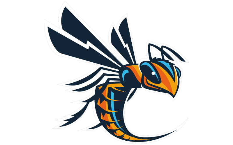 Cedarville Yellow Jackets Color Codes: Hex, RGB, and Logo