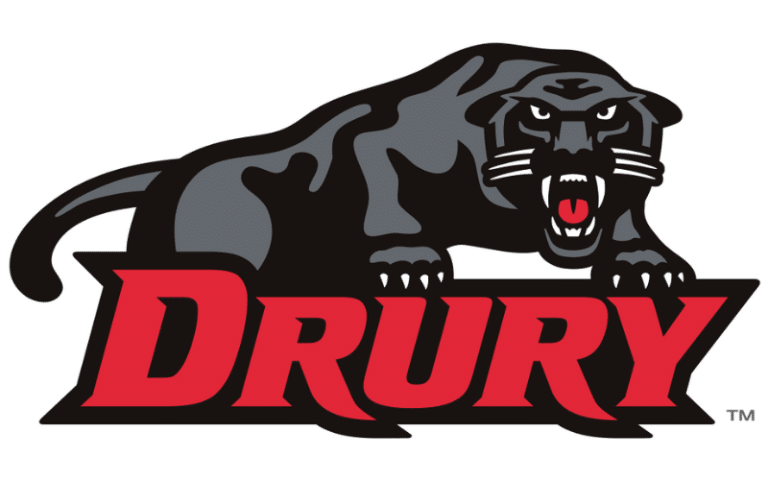 Drury Panthers Color Codes: Hex, RGB, and Logo