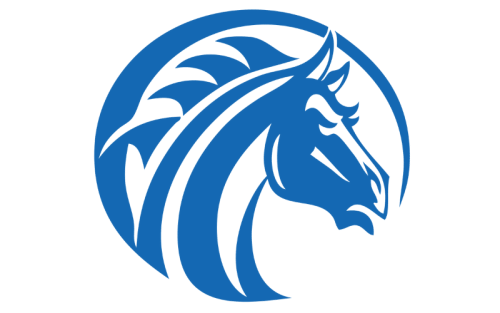 Texas A&M Aggies Color Codes: Hex, RGB, and Logo