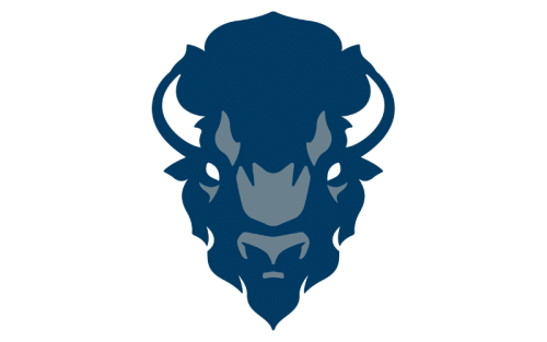 Montana Grizzlies Color Codes: Hex, RGB, and Logo