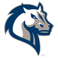 Mercy College Mavericks Color Codes: Hex, RGB, and Logo