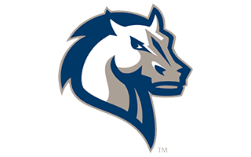 Mercy College Mavericks Color Codes: Hex, RGB, and Logo