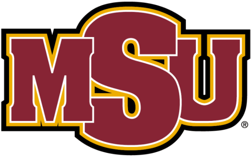 Wisconsin Badgers Color Codes: Hex, RGB, and Logo