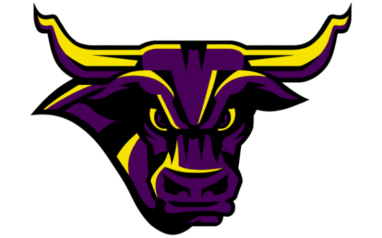 Minnesota State Mavericks Color Codes: Hex, RGB, and Logo