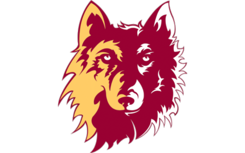 Virginia Tech Hokies Color Codes: Hex, RGB, and Logo