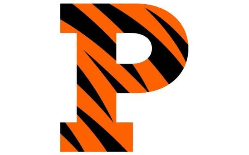 Princeton Tigers Color Codes: Hex, RGB, and Logo