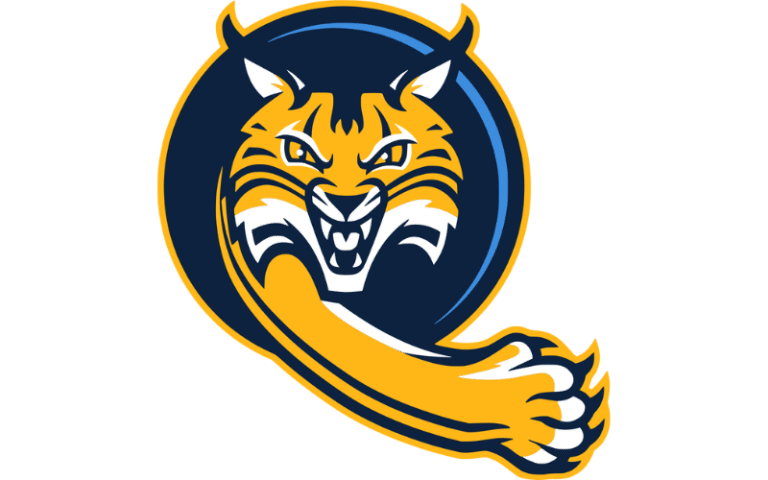 NCAA Division I - Sport Color Codes