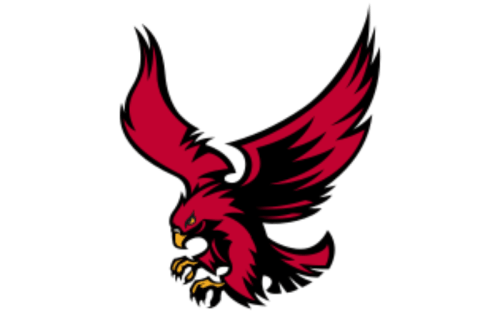 Duke Blue Devils Color Codes: Hex, RGB, and Logo