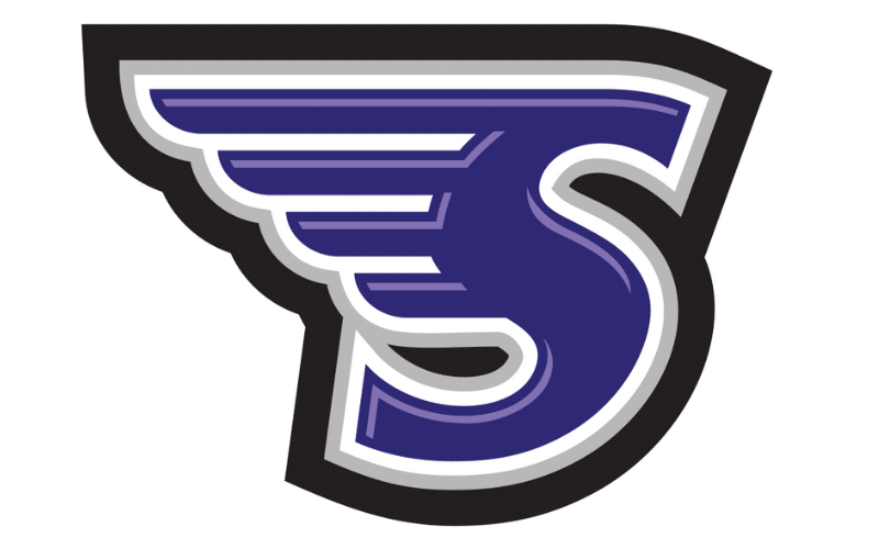 Stonehill Skyhawks Color Codes: Hex, RGB, and Logo