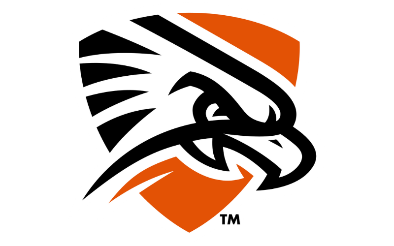 Texas Permian Basin Falcons Color Codes: Hex, RGB, and Logo