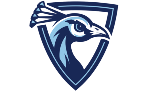 Old Dominion Monarchs Color Codes: Hex, RGB, and Logo