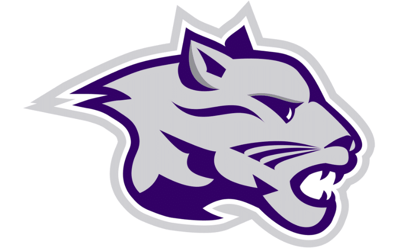 Young Harris Mountain Lions Color Codes: Hex, RGB, and Logo